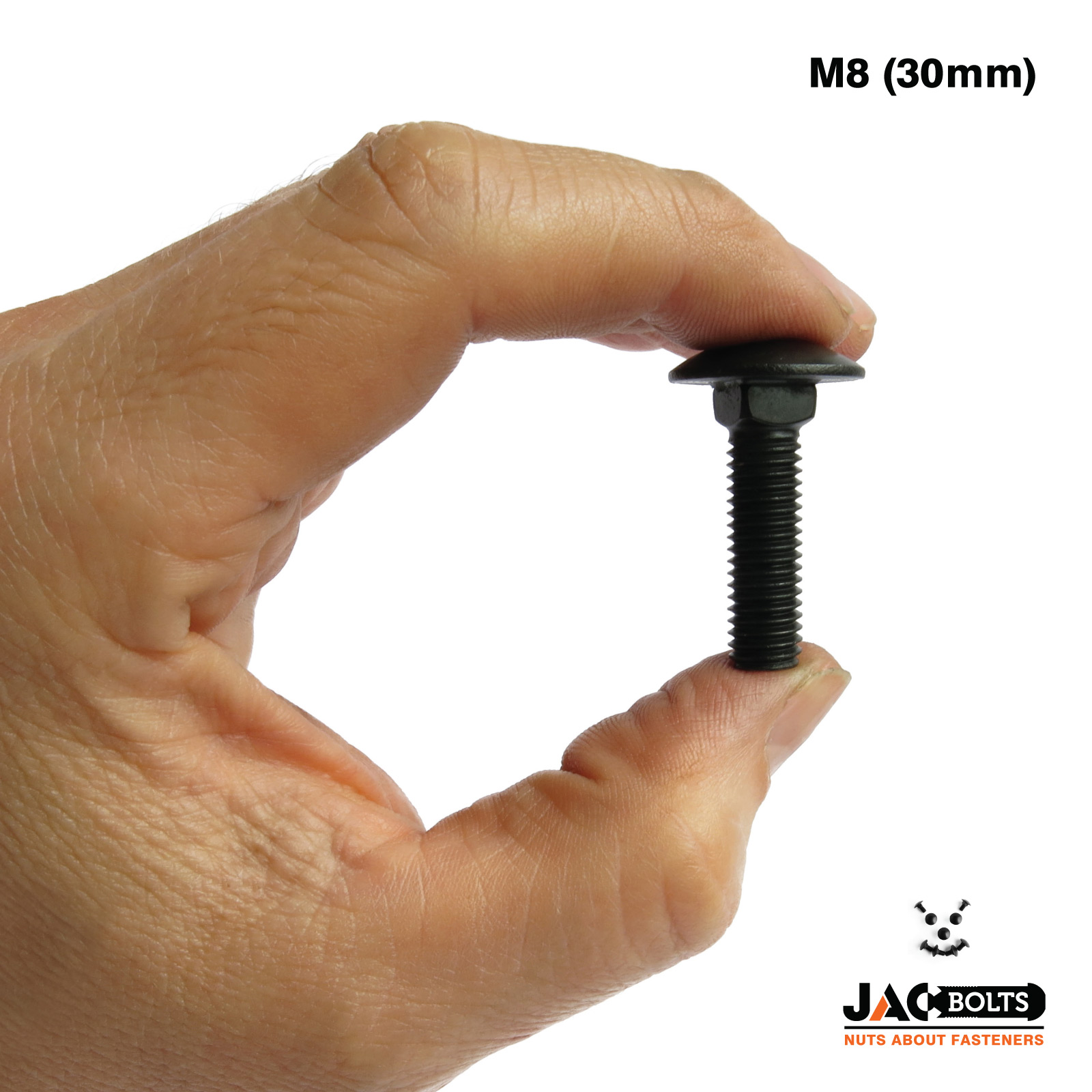 M8 Black Stainless Steel Carriage Bolts / Cup Square Coach Screws from ...